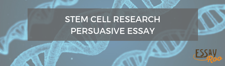 Stem Cell Research Persuasive Essay - Pros & Cons Examples
