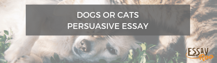 Dogs or Cats Persuasive Essay Sample - Pros Examples